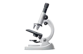 Tbilisi State Medical University | TSMU | Fees, Ranking & Admission